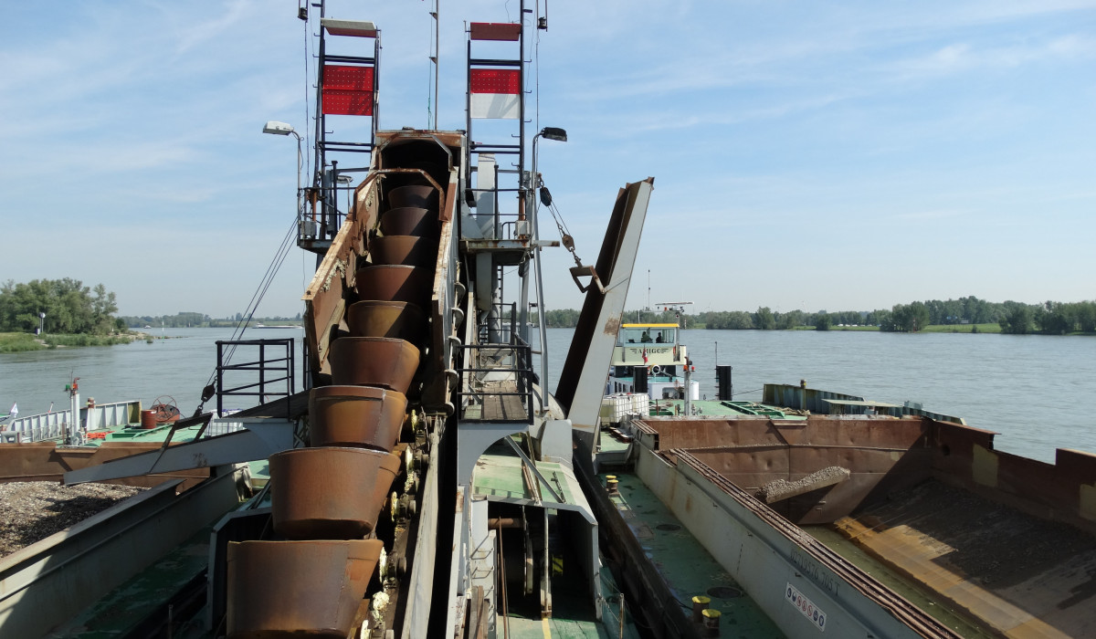 Aalscholver • Dutch Dredging